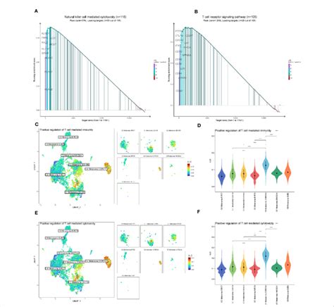Gsea And Aucell Analysis Among Melanoma Cell Subtypes A Gsea Download Scientific Diagram