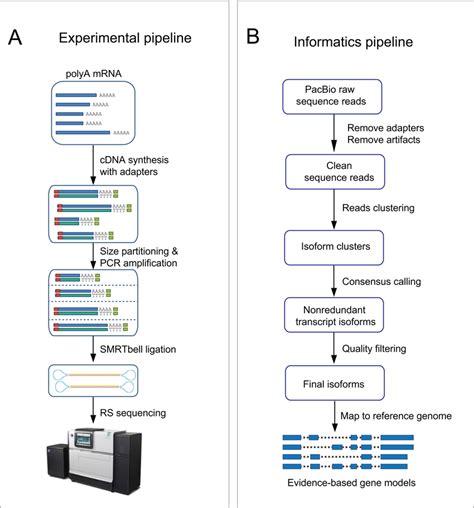 An Overview Of The Experimental A And Informaticsb Components In
