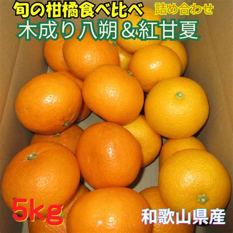 旬の柑橘食べ比べ はっさく 木成り八朔さつき 秀品 あまなつ 紅甘夏 詰め合わせ混合5kg 和歌山県産 サイズ ふぞろい ご家庭用 柑橘 春