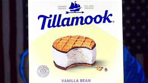 Tillamook Vanilla Bean Waffle Cone Ice Cream Sandwich Review Youtube