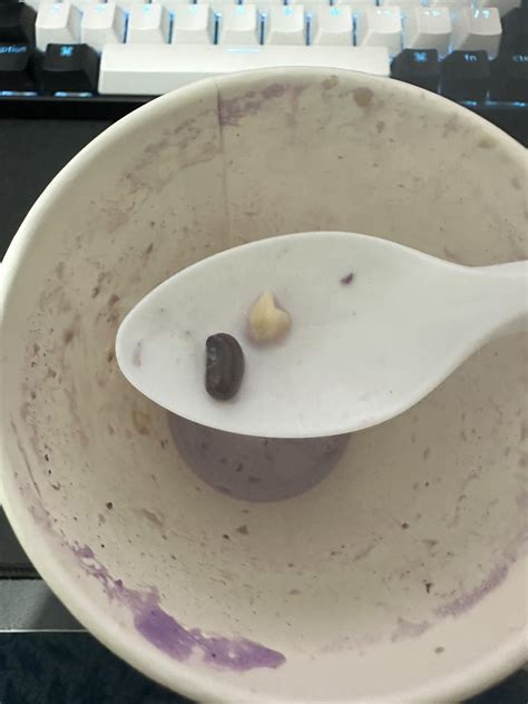 Halo Halo Red Beans O Itlog Ng Ipis R Filipinofood