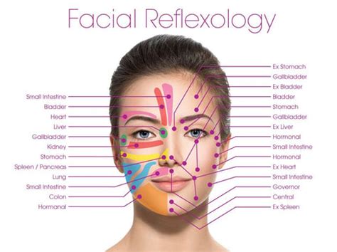 Facial Reflexology Map Foot Reflexology Chart Exok