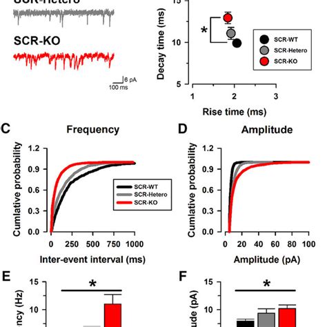 SCR KO Mice Enhance Miniature Excitatory Transmission Release In The Download Scientific
