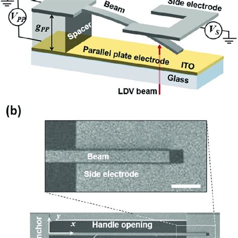 A Schematic View Of The Integrated Device Used In The First Download Scientific Diagram