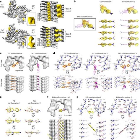 Cryo Em Structure Of The Ebα Syn Fibril A Cryo Em Density Maps Of The