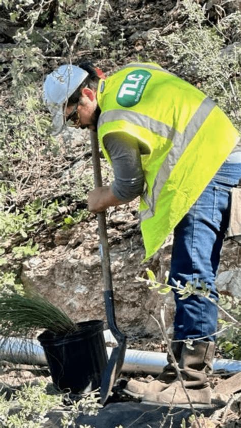 Automatic Plant Irrigation System