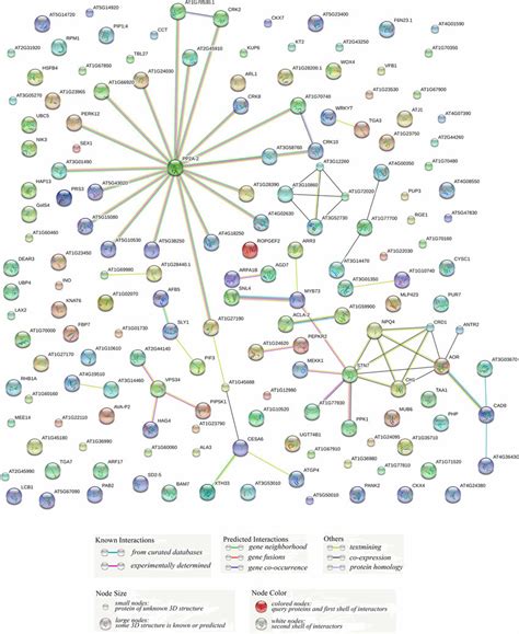 Predicted Interaction Network For Proteins Encoded By Candidate Genes