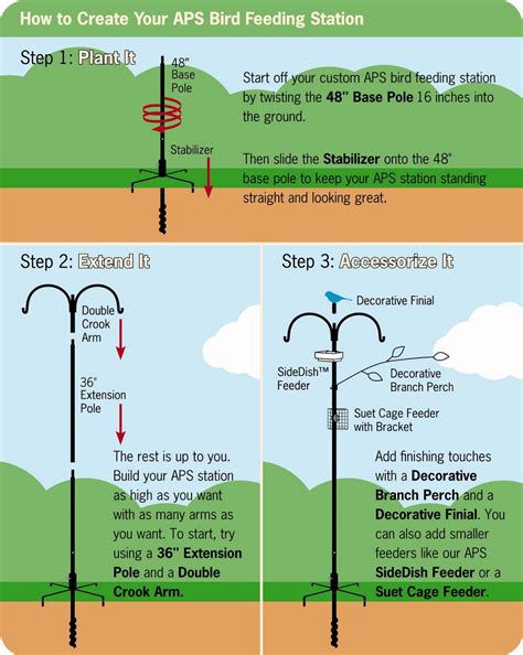 Best Bird Feeder Poles
