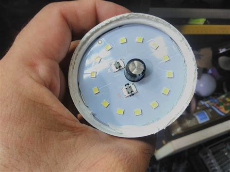 Why Are Naked LED Lamps So Deadly Gardening Landscaping Stack Exchange