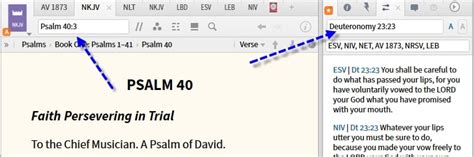 Bug Passage Mismatch — Logos Community