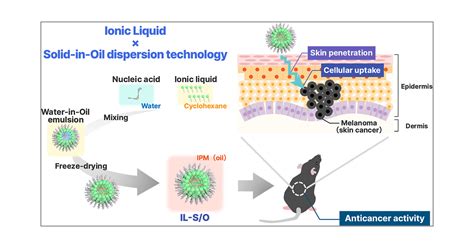 Non Invasive Transdermal Delivery Of Antisense Oligonucleotides With Biocompatible Ionic Liquids