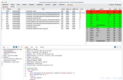 Sql Injection Scout【sql 注入检测和分析工具】 Cn Sec 中文网