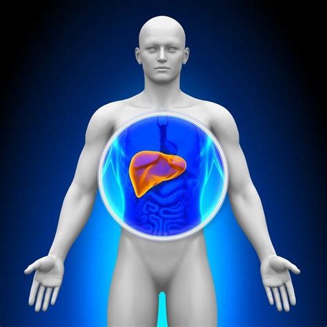 Comprehensive Guide To Liver Function Tests