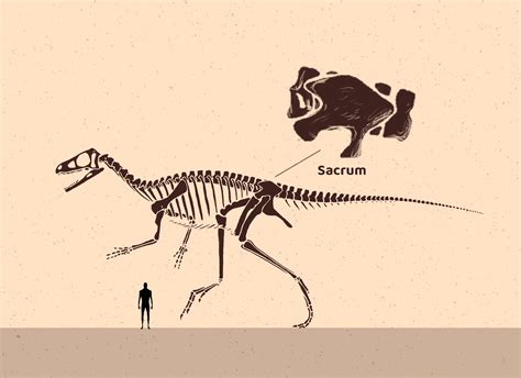 Dinozorlar Nasıl Ve Ne Zaman Yok Oldu TÜbİtak Bilim Genç