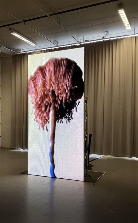 Wang And Söderström