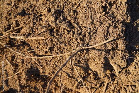 Soil Background Texture Soil With Roots In The Ground Close Up The Earth Inside Erosion