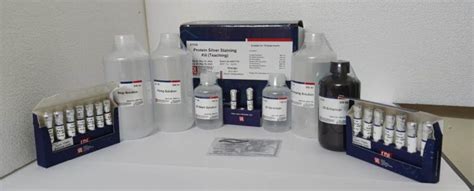 Protein Silver Staining Kit Teaching