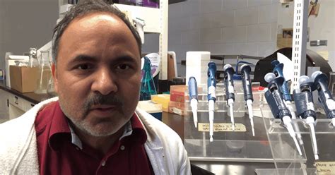 Dandelion Root Vs Cancer Kills 95 Of Cells In 48 Hours Engineerine