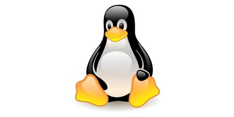 The Ultimate Guide To Setting Up A Linux Home Server 2025 Edition Codegig