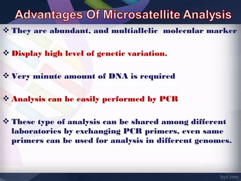 Microsatellites Molecular Fingerprints Ppt