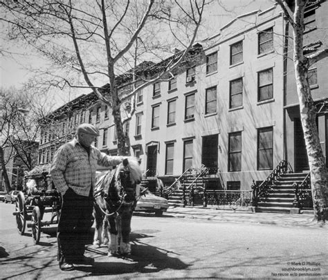 Cobble Hill South Brooklyn Network