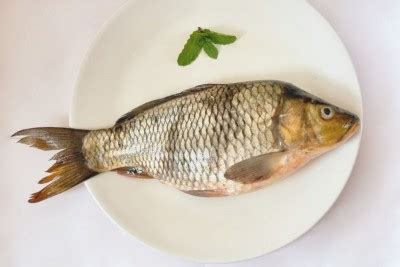 Common Carp Buy Online Freshtohome Com