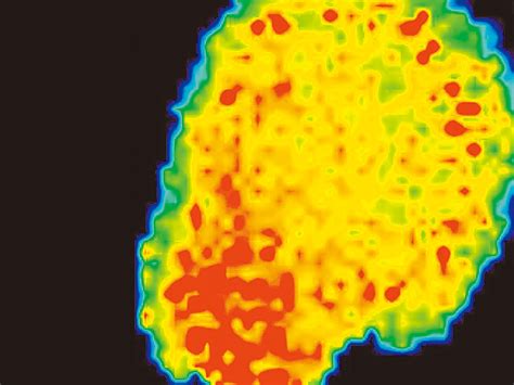 Application Ebook Ir Microscopy Jasco Global