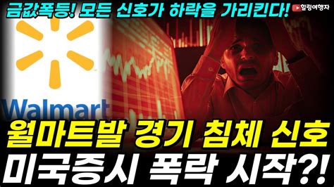 실적 나빠졌나 미국증시 월마트발 경기 침체 폭락 시작 경제지표까지 꺾이기 시작했다 금값 사상 최고치 경신 모든 신호가 하락을 가리킨다 Youtube