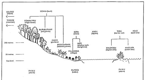 Figure 6 From Traditional Ecological Knowledge