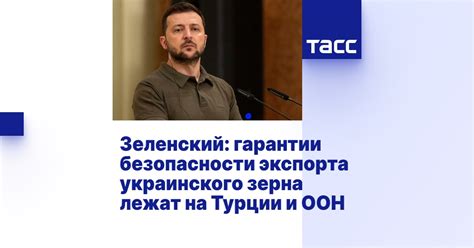 Зеленский гарантии безопасности экспорта украинского зерна лежат на Турции и ООН ТАСС