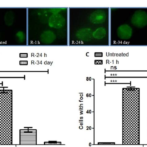 Estructura De La Podofilotoxina 1 Download Scientific Diagram