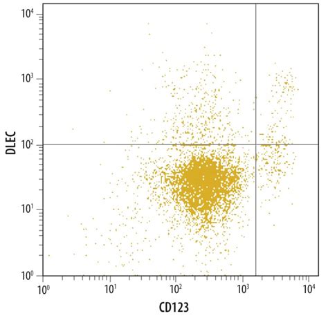 Human Dlec Clec4c Bdca 2 Antibody Af1376 Randd Systems