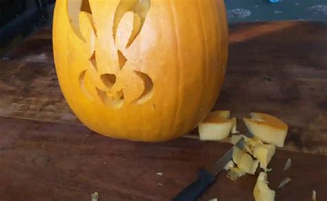 Halloween Bunny Pumpkin Carving Ideas Bunnyproof