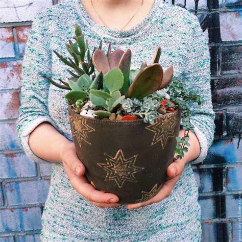 Déco Jardin En Plantes Grasses 40 Idées Pour Pimper Lextérieur