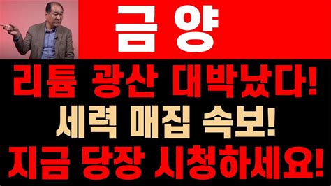 리튬 광산 대박났다 금양 세력 매집 속보 지금 당장 시청하세요 Youtube