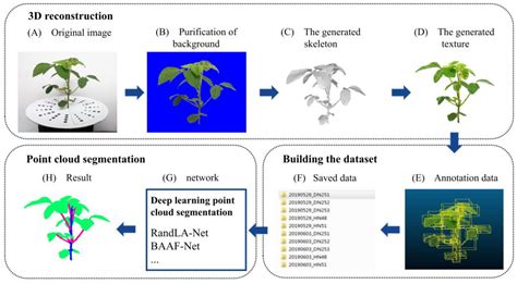 Soybean Mvs Annotated Three Dimensional Model Dataset Of Whole Growth Period Soybeans For 3d