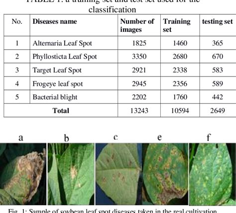 Table From Identification Of Soybean Leaf Spot Diseases Using Deep Convolutional Neural