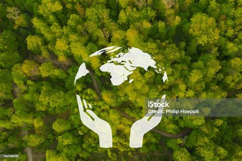 Net Zero 2050 탄소 중립 및 순 제로 개념 자연 환경 기후 중립적 인 장기 전략 온실 가스 배출량은 녹색 Net Zero 수치의 안개 구름을 목표로합니다 수자원