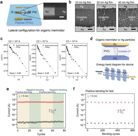 Organic Memristor‐based Flexible Neural Networks With Bio‐realistic Synaptic Plasticity For