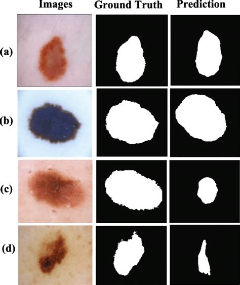 segmentation results left input images middle ground truth and