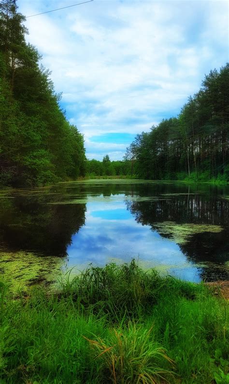Beach Grass Reflection Free Photo On Pixabay Pixabay