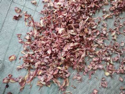 Dehydrated Carrot Flakes At 230 00 Inr In Chhatrapati Sambhajinagar Maharashtra Dipika