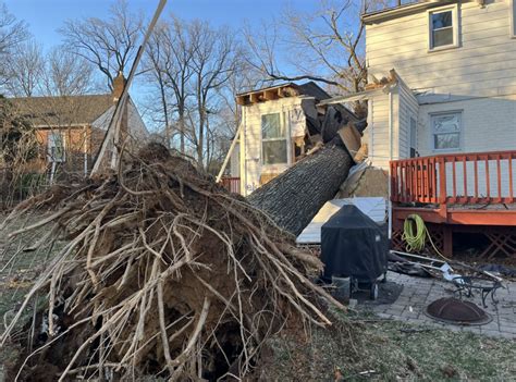 tree collapses onto wheaton hills home montgomery community media