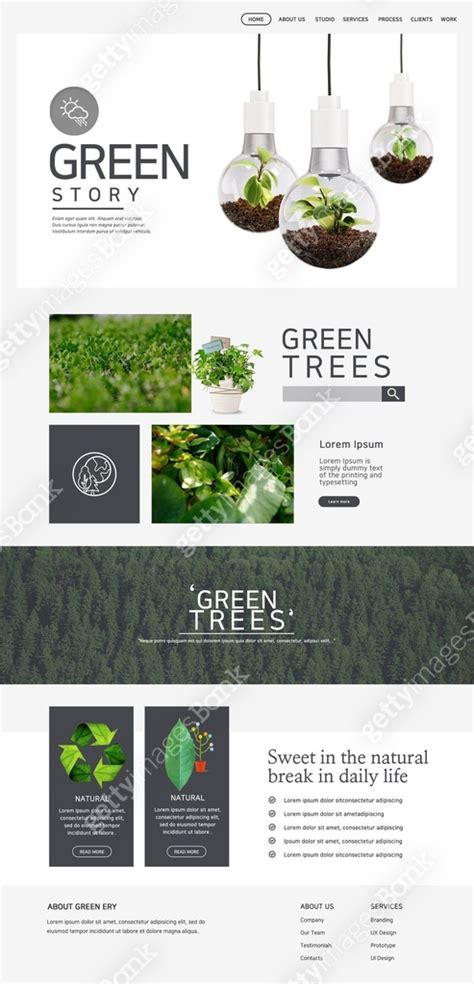 웹템플릿 메인페이지 이미지 홈페이지 식물 자연 주제 환경 주제 잎 식물부분 그리너리 새싹 이미지 Jv11939338 게티이미지뱅크
