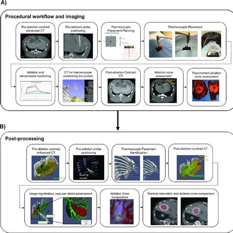 procedural workflow imaging and post processing steps towards