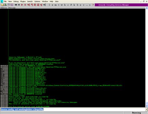 introduction to network protocol fuzzing and buffer overflow exploitation · own sh