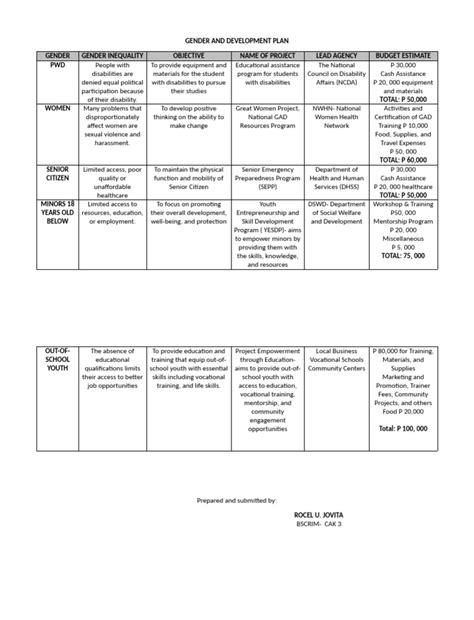 Gender Development Plan Overview Pdf Disability Gender And