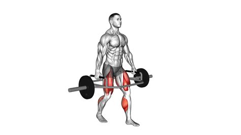 Trap Bar Squat Ultimate Guide And Tips