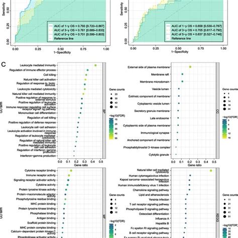 Verified The Accuracy Of The Prognostic Model Time Dependent Roc