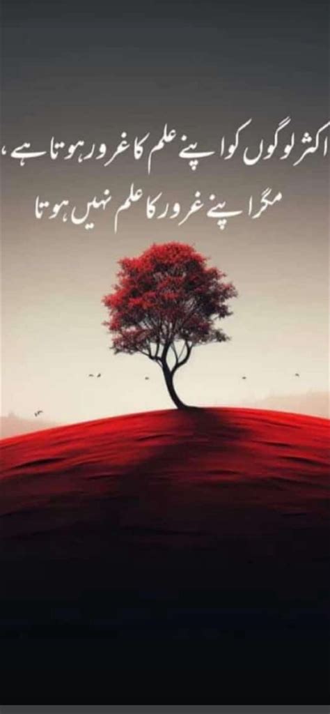 Mohsin Hashmi Posted On Linkedin